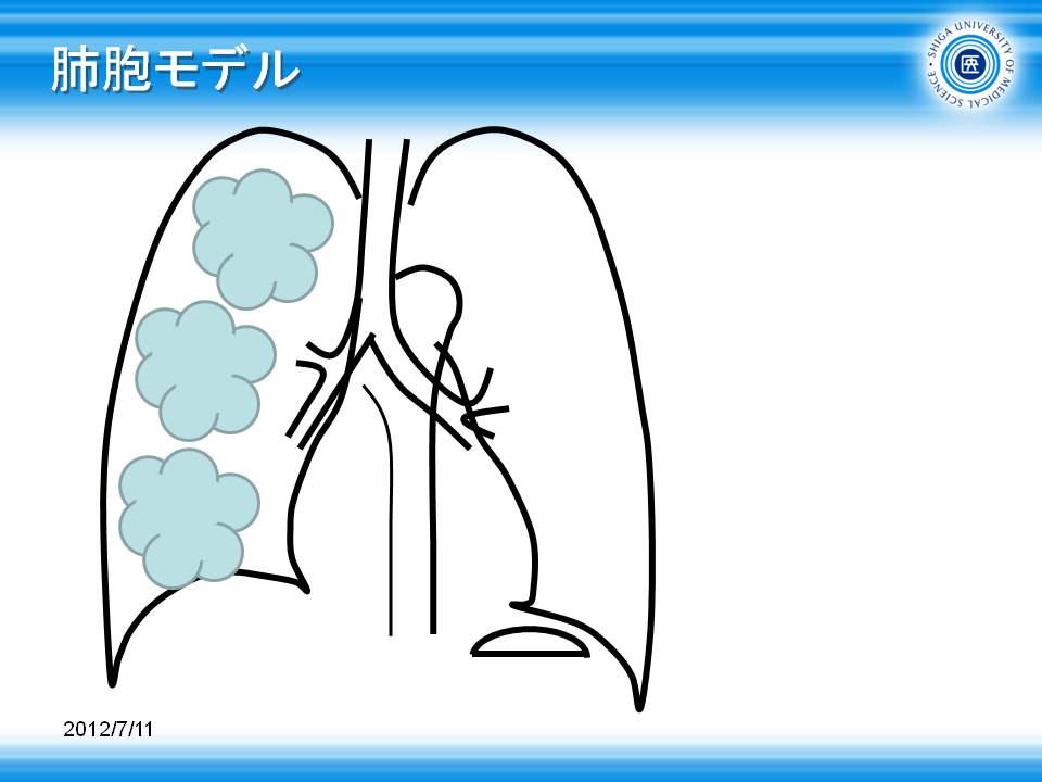 医師国家試験過去問（呼吸器系）つまずきポイント徹底解説・closing volume（とclosing capacity）の測定方法1 ...